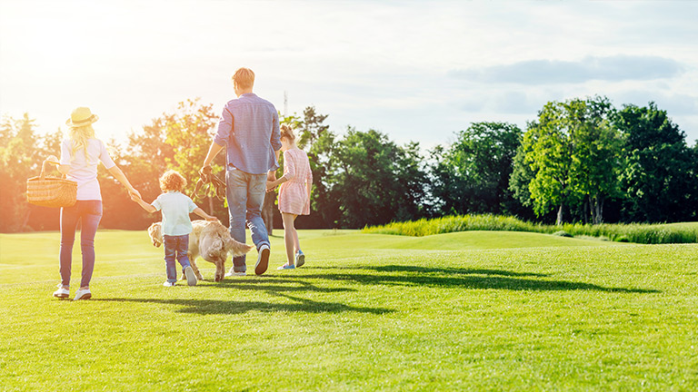 Lawn Care Tips at Menards®