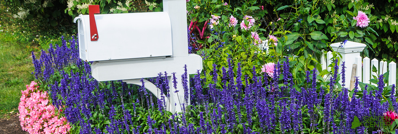 How to Add Curb Appeal with a Mailbox Garden at Menards®