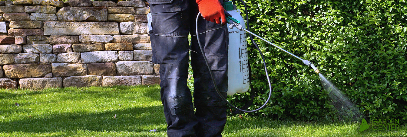 Refresh Your Lawn at Menards®