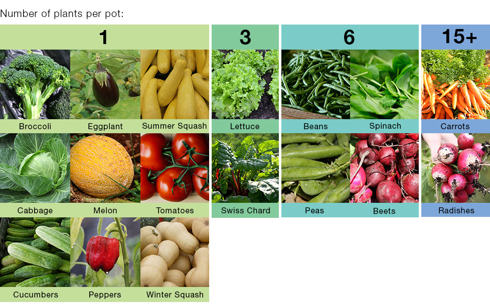 Self-Watering Bucket Garden at Menards®