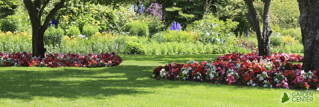 Growing Plants in the Shade at Menards®
