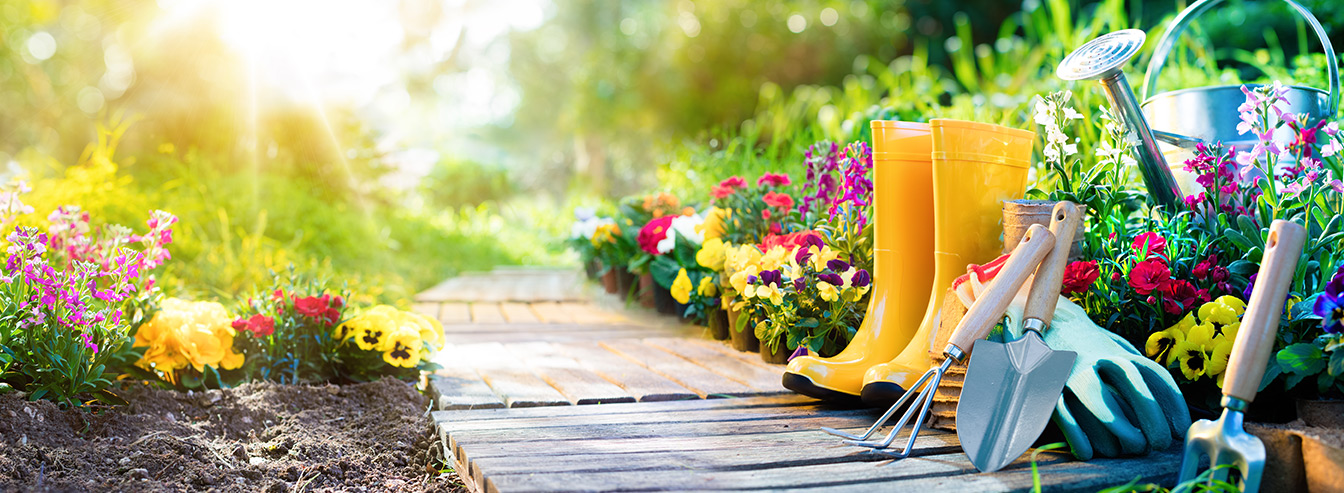 Signs of Spring at Menards®