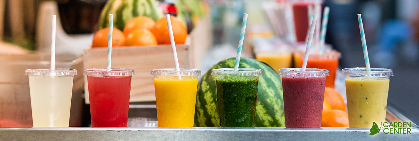 Create Your Own Smoothie Garden at Menards®