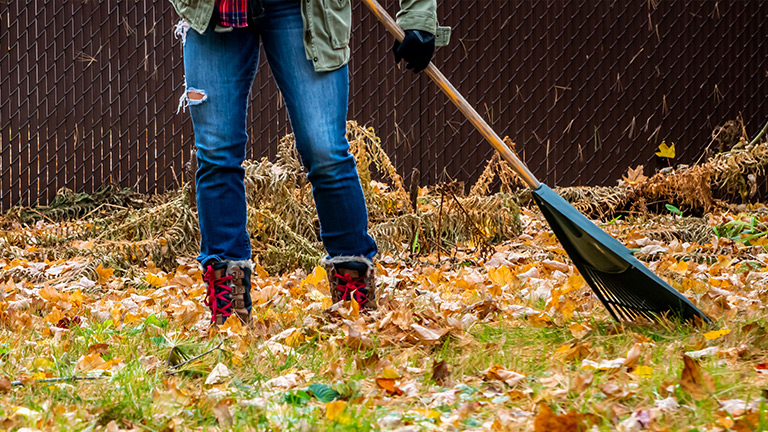 To Rake or Not to Rake Your Leaves at Menards®