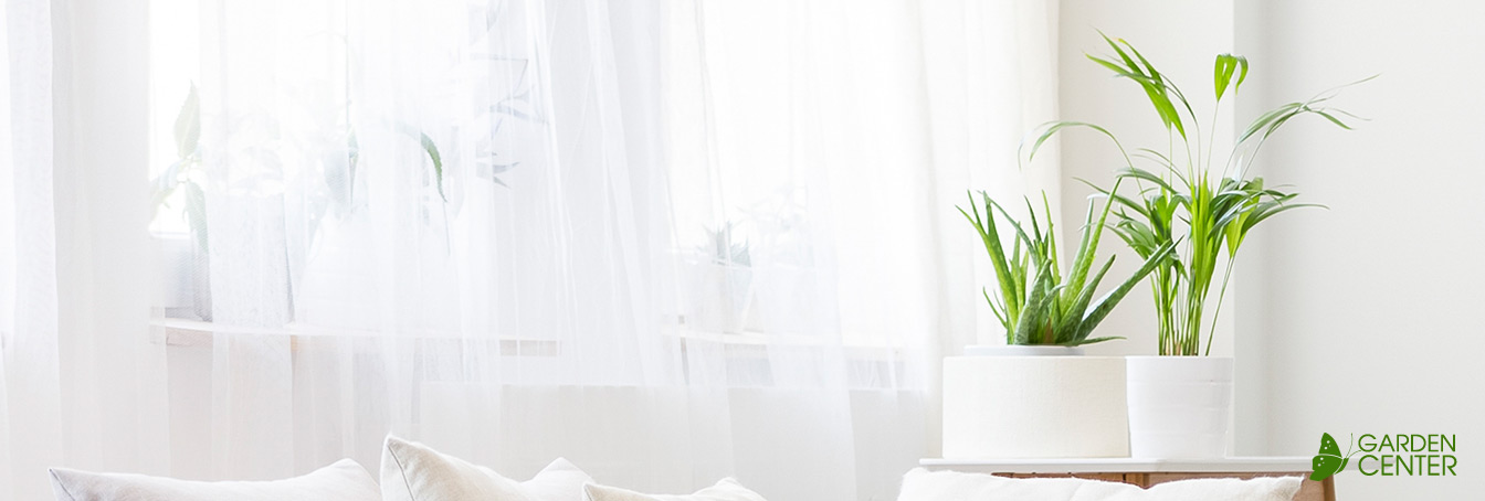 Watering Houseplants While You’re Away at Menards®