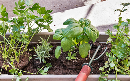 Window Box Floral Arrangements at Menards®