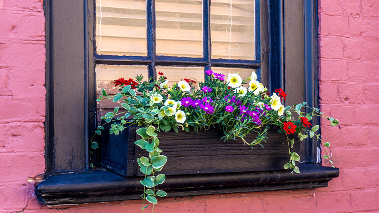 Window Box Floral Arrangements at Menards®