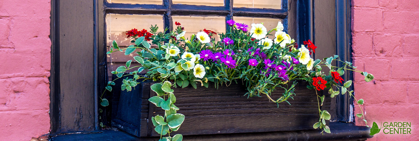 Window Box Floral Arrangements at Menards®