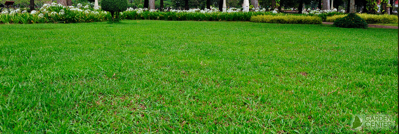 Your Lawn Questions Answered at Menards®