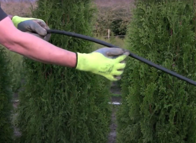 How-To Plant a Cedar Hedge at Menards®