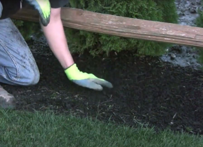 How-To Plant a Cedar Hedge at Menards®
