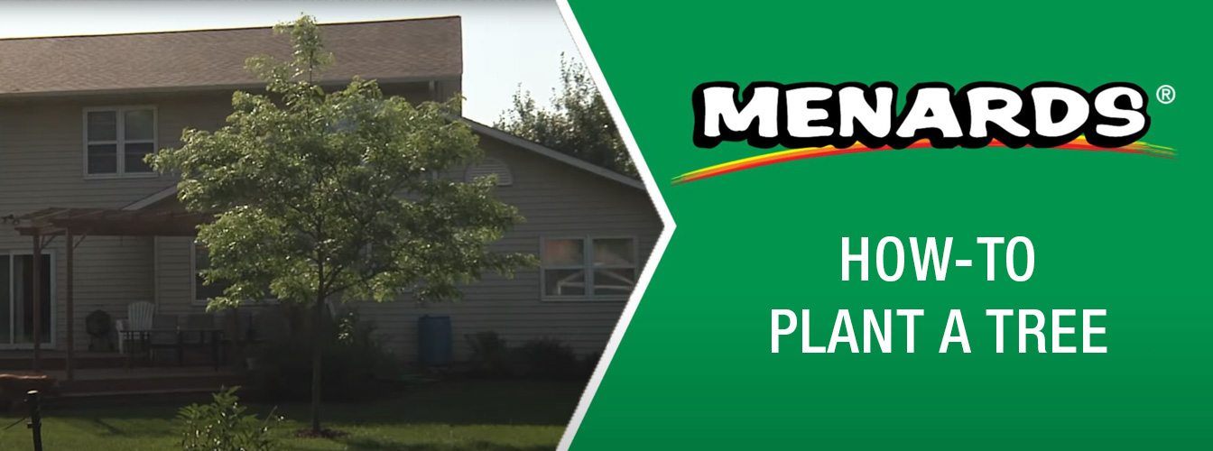 How-To Plant a Tree at Menards®