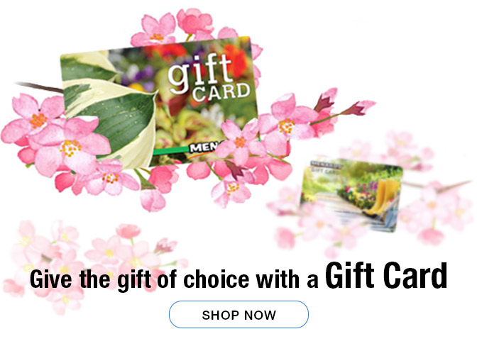 Mother's Day at Menards®