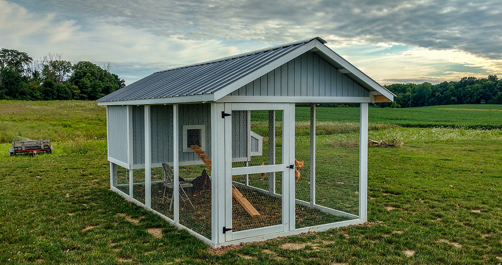 Chicken Coop - Project by Matt at Menards®