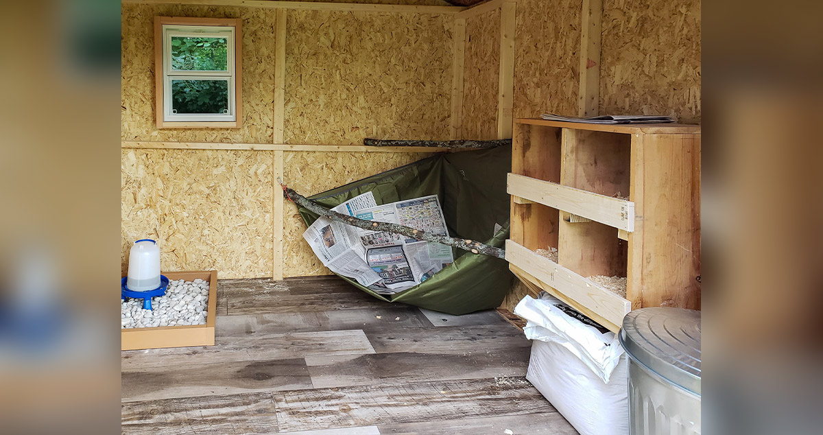 Chicken Coop Project - Project by Richard at Menards®