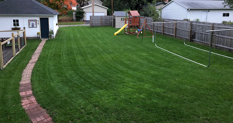 Backyard Lawn Project - Project by Matthew at Menards®