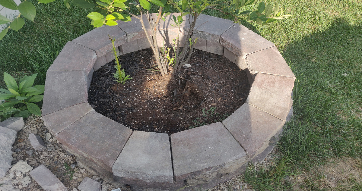 Front Yard Landscape - Project by Sarvesh at Menards®