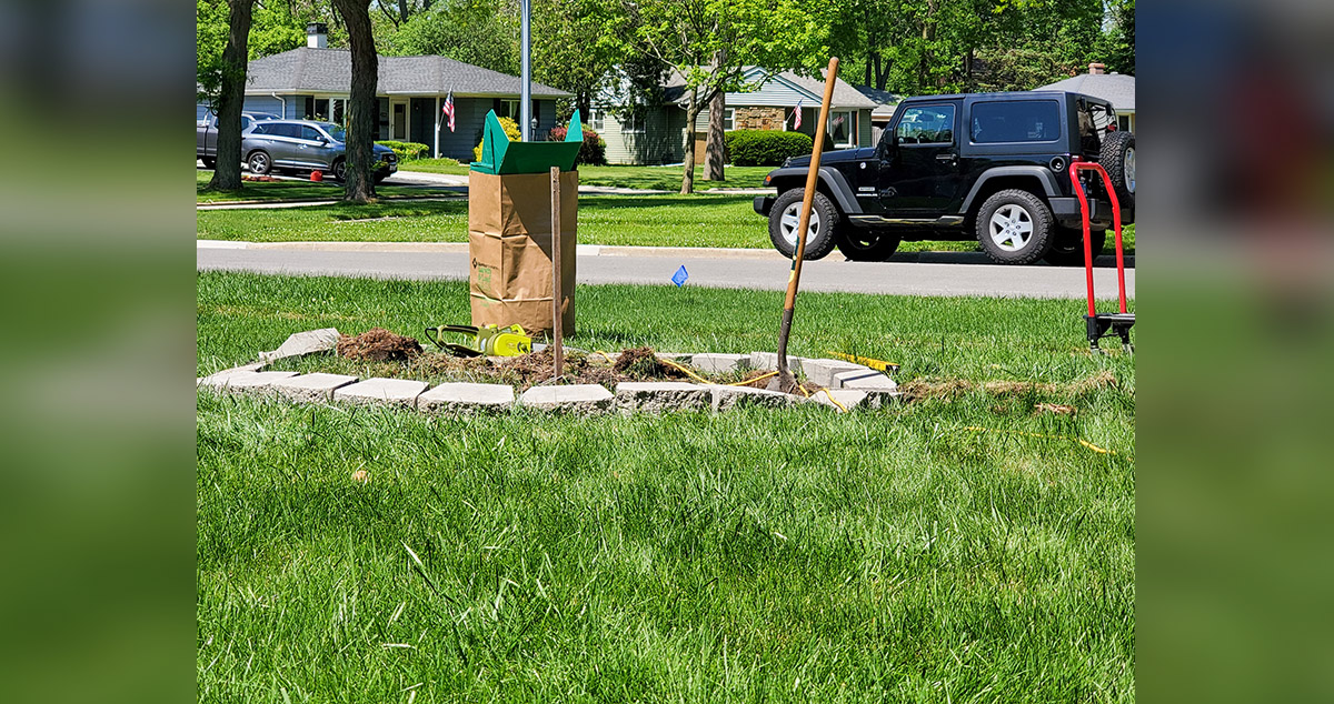 Large Tree Ring - Project by Heather at Menards®