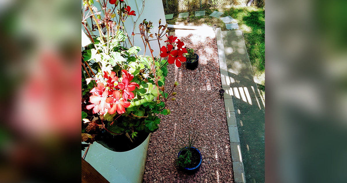 Low-Maintenance Rock Garden - Project by Julia at Menards®