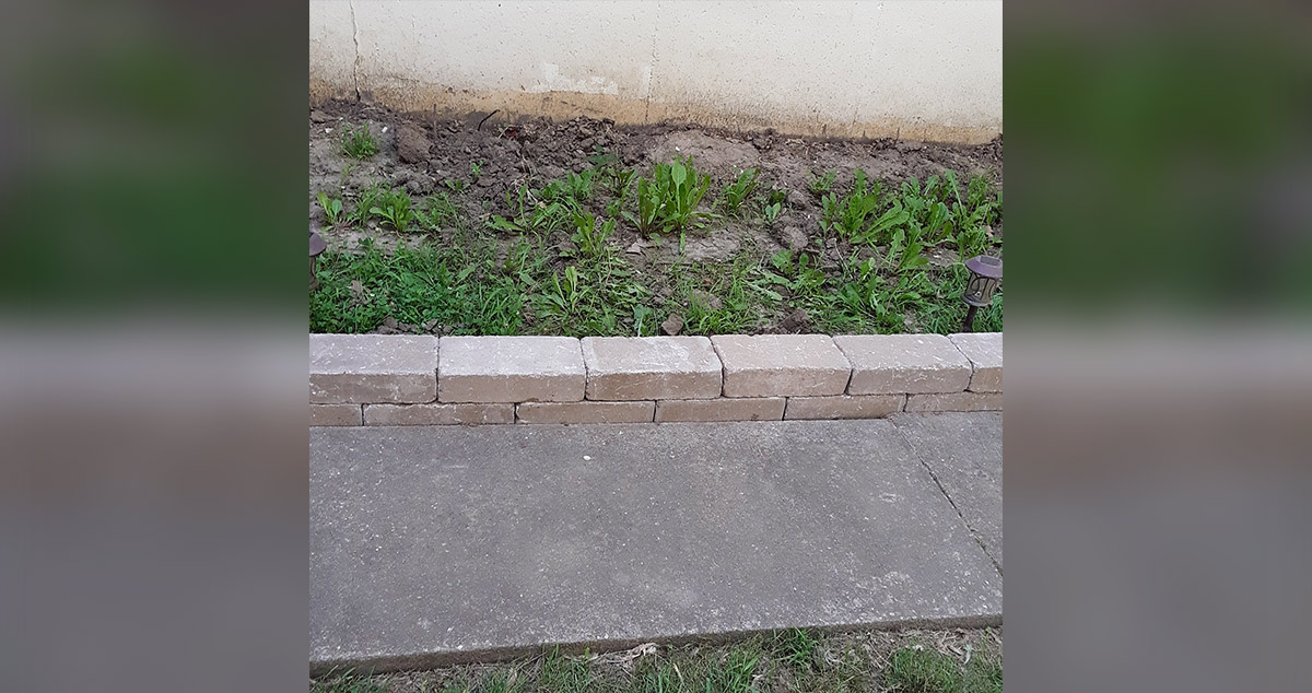 Low-Maintenance Rock Garden - Project by Julia at Menards®