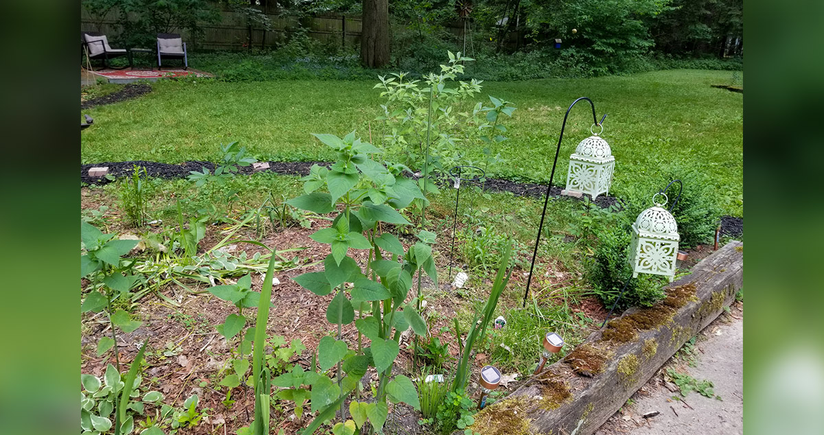 Pathways Aplenty - Project by Susan at Menards®