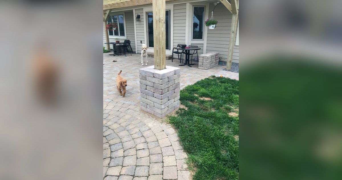 Paver Patio & Pergola - Project by Darrell at Menards®