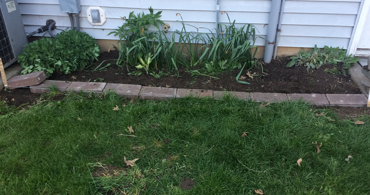 Pavers Along House Landscaping - Project by Andrea at Menards®