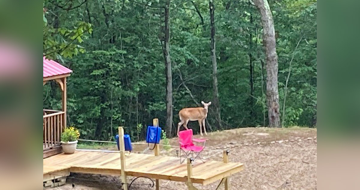 Pond Dock - Project by Theresa at Menards®