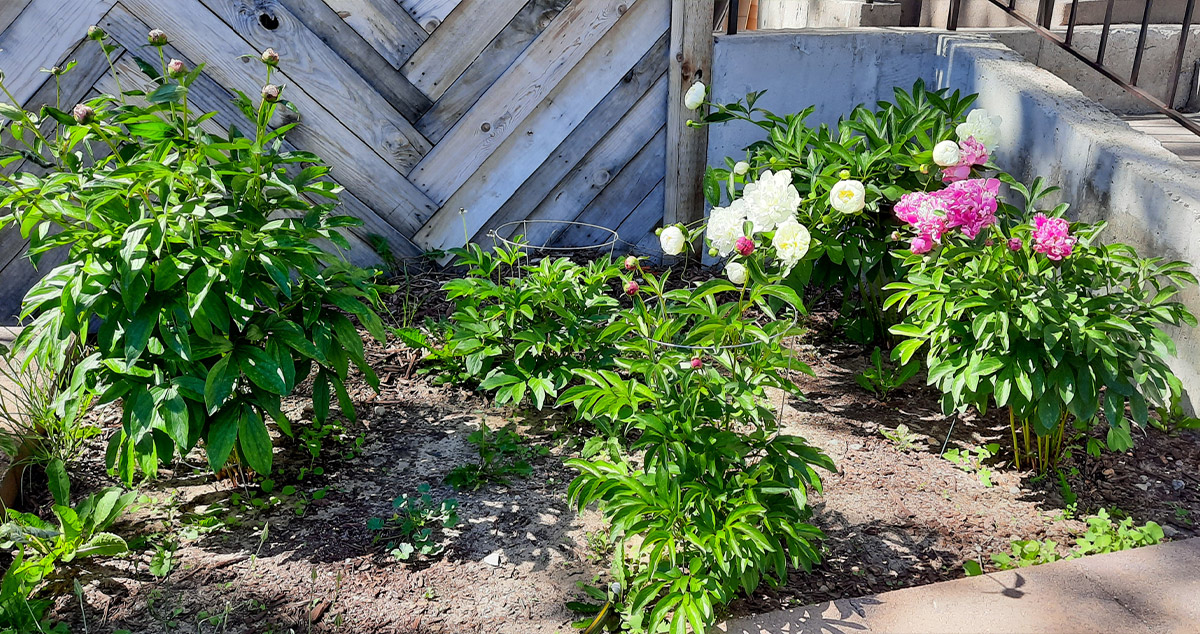 Tiered Block Flower Bed - Project by Cody at Menards®