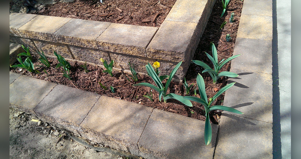 Tiered Block Flower Bed - Project by Cody at Menards®