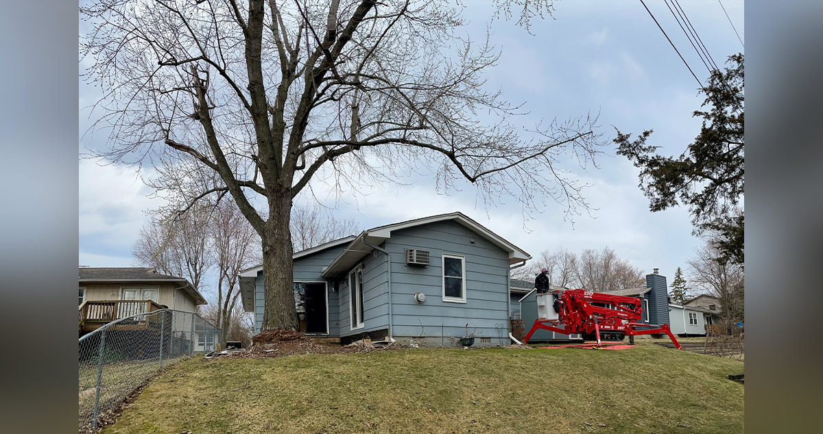 Tree in the Middle - Project by Deborah at Menards®
