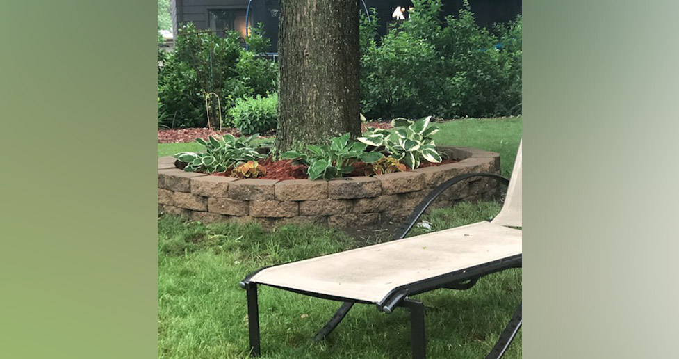 Tree Ring - Project by Mitchell at Menards®