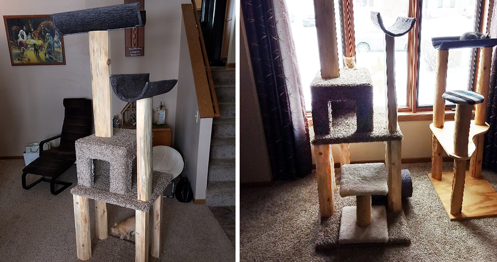 Cat Tower - Project by Philip at Menards®