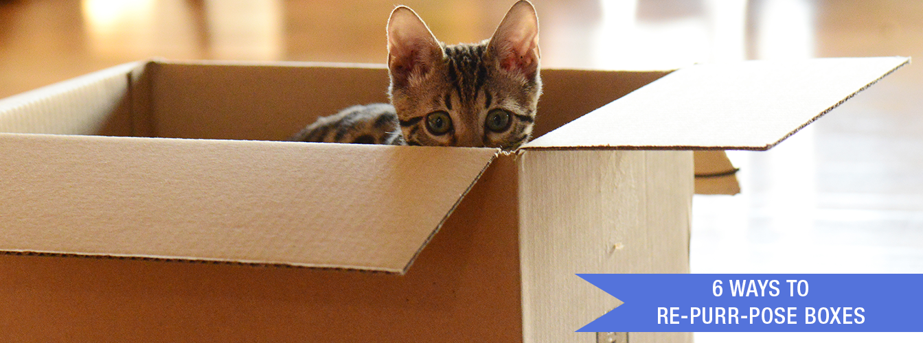 6 Ways to Re-purr-pose Boxes at Menards®