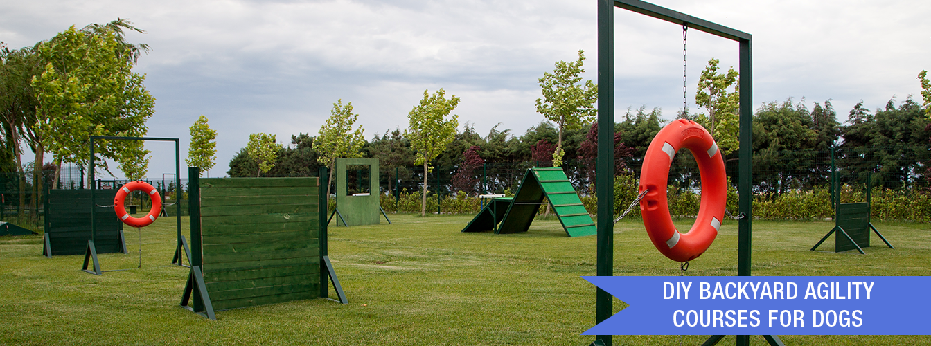 DIY Backyard Agility Courses for Dogs at Menards®