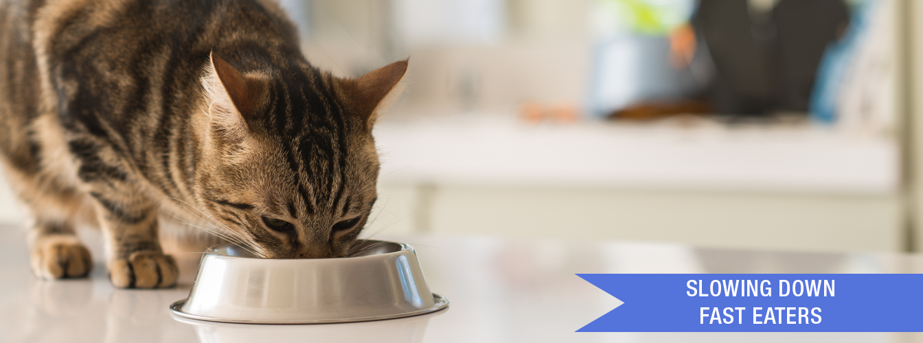 Slowing Down Fast Eaters at Menards®