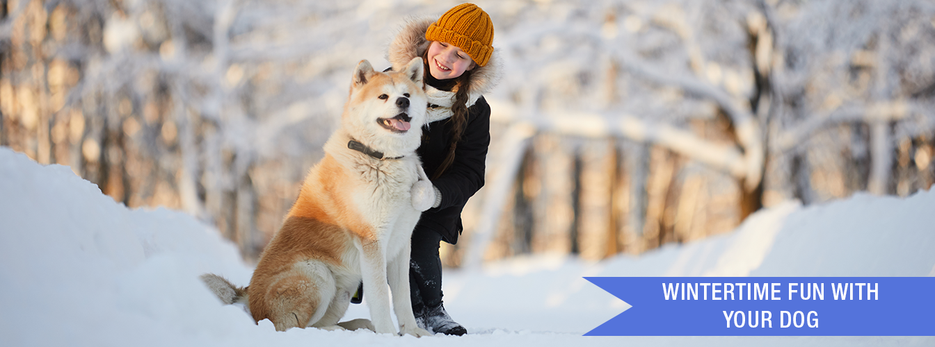 Wintertime Fun with Your Dog at Menards®