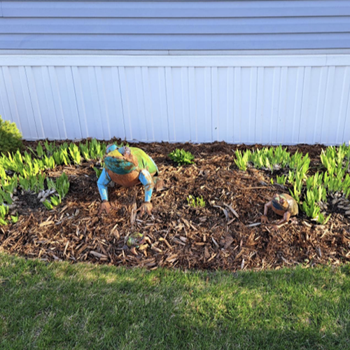 Red, Black, Brown Colored Mulch at Menards®
