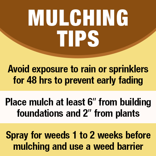 Red, Black, Brown Colored Mulch at Menards®