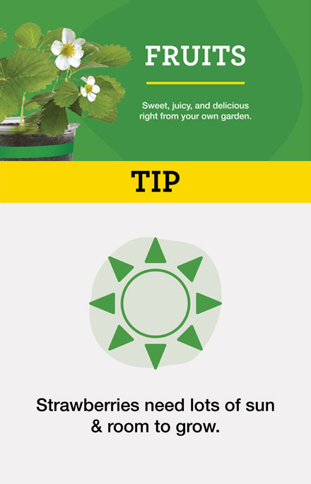 Bonnie Plants at Menards®