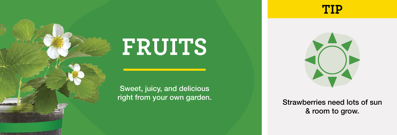 Bonnie Plants at Menards®