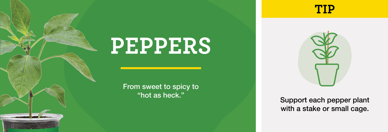 Bonnie Plants at Menards®