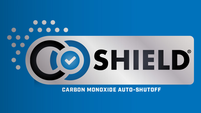 Champion Power Equipment at Menards®