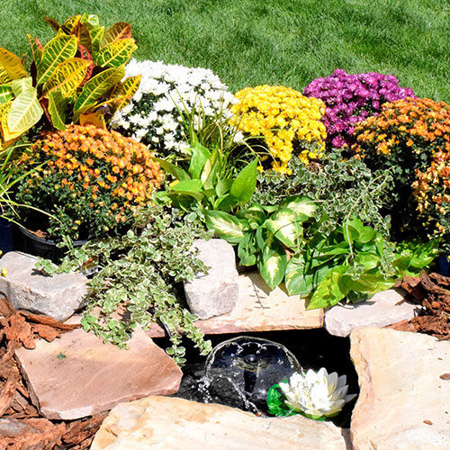 MacCourt at Menards®