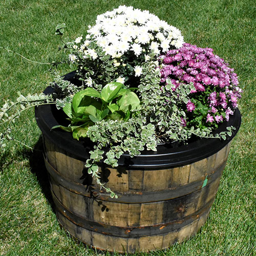 MacCourt at Menards®