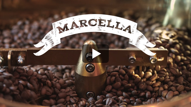 Marcella at Menards®