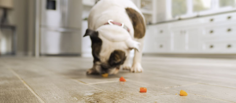 mohawk tile at Menards®