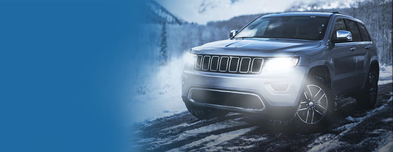 Philips Automotive Lighting at Menards®