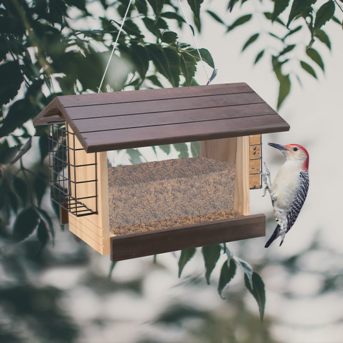 Bird Feeder Buying Guide at Menards