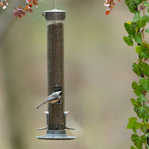 Menards bird feeders store